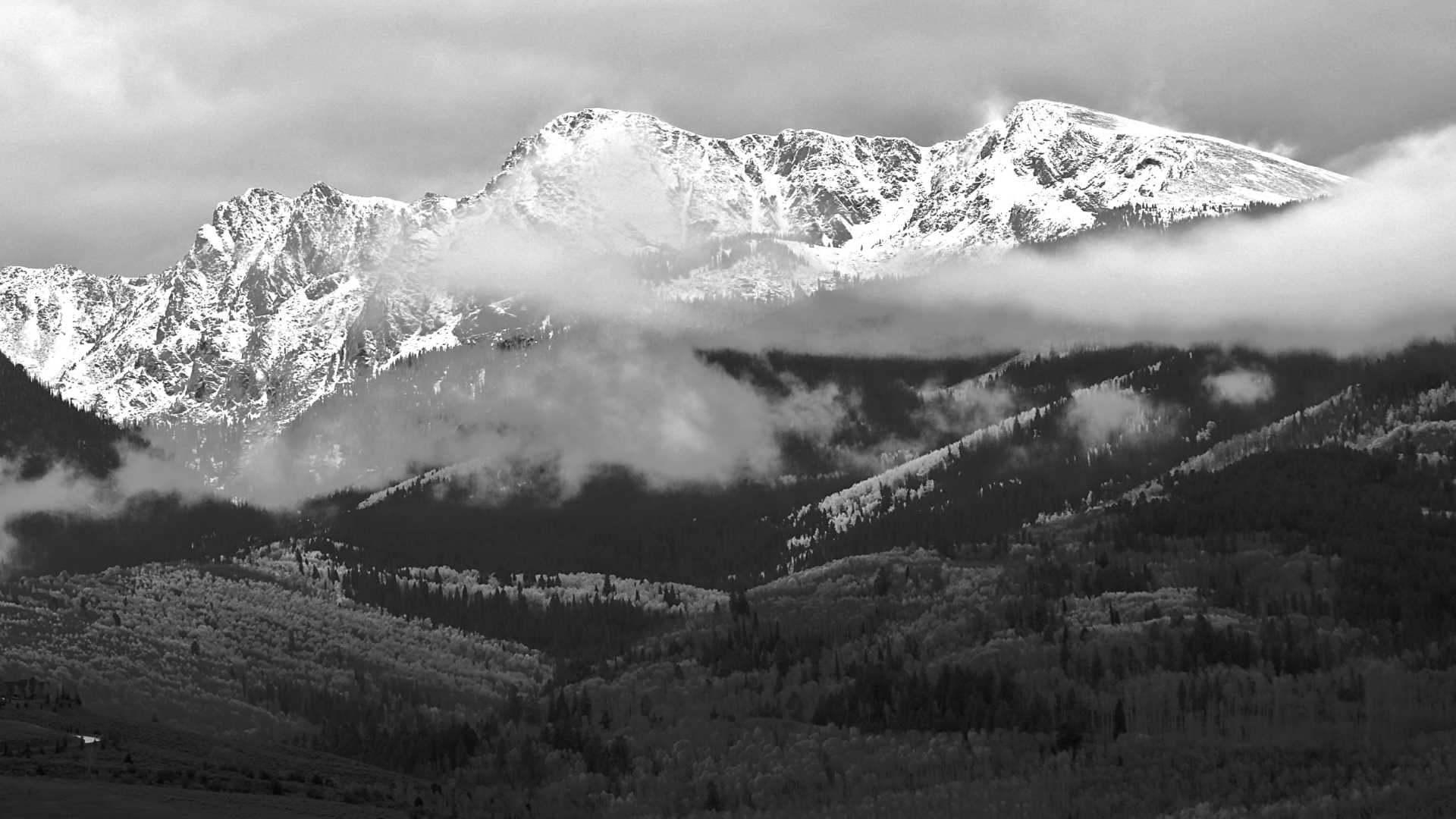 Login - SSO | TPS Platform | RP Solutions, Inc.